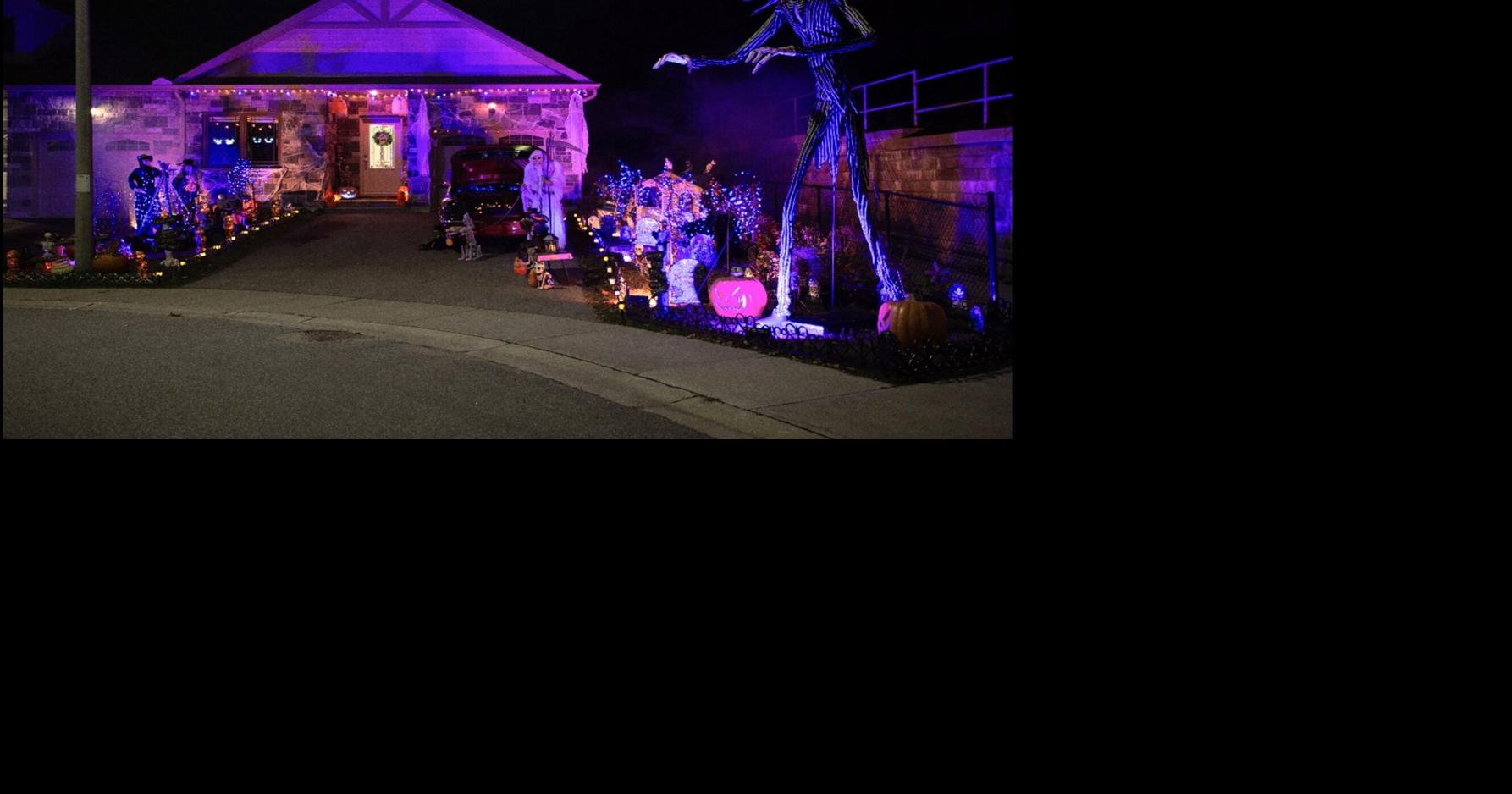Halloween display supporting Orillia animal shelters