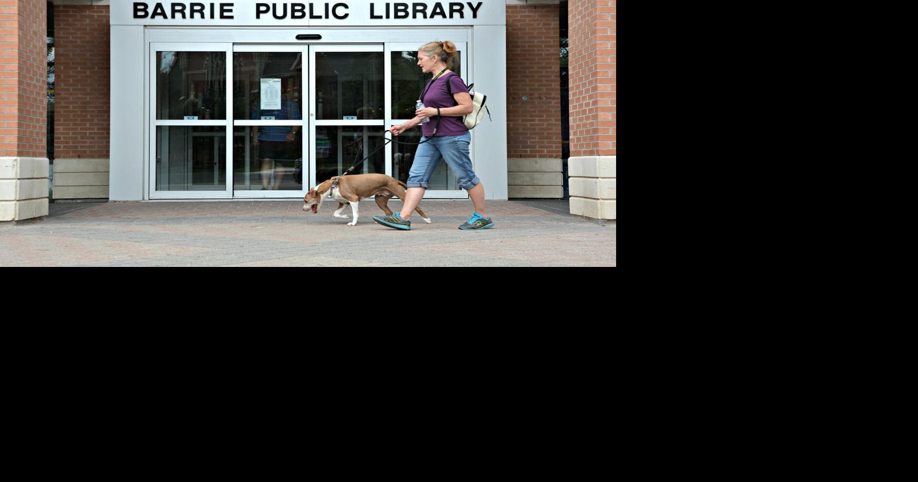 Five Things to Do at the Barrie Public Library This Week