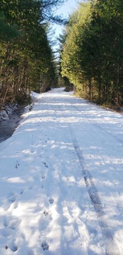 Five places to take a quiet winter walk, ski or snowshoe in Simcoe County