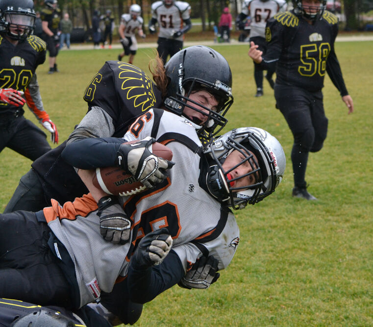 Collingwood Fighting Owls football teams playoff bound