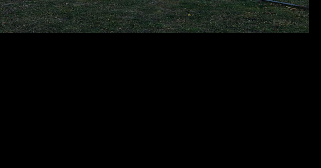 Response to Collingwood inquiry results in vandalism to Central Park Arena