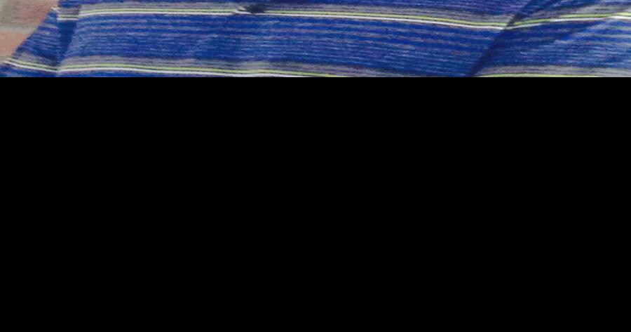 Terry Dowdall – Essa mayoral candidate