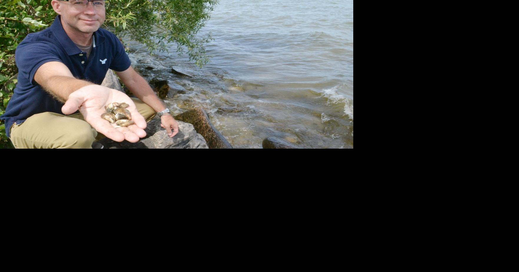 Lake Simcoe life in balance, despite invasive species