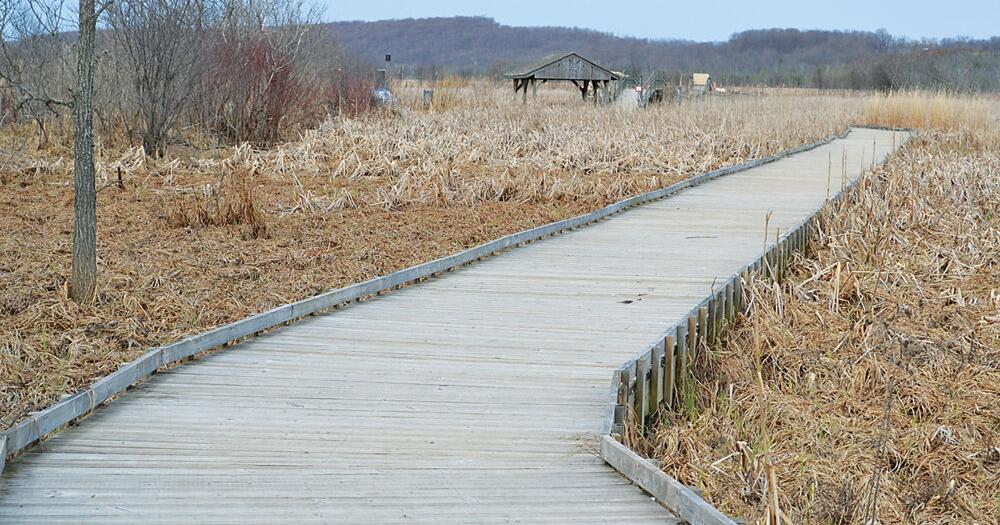 Wye Marsh named one of Canada’s top hikes