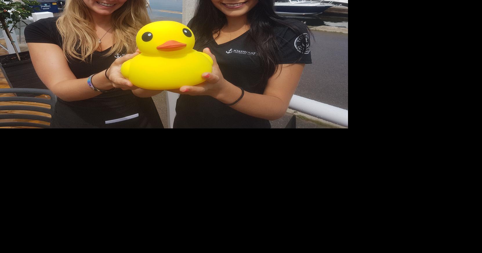 Five viewing locations and parking spots for Midland's giant duck visit