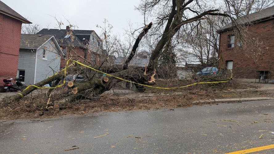 Ice storm cleanup continues in Barrie, Oro-Medonte, Orillia