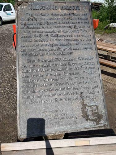 Starting the diversity discussion: Collingwood to take a look at ...