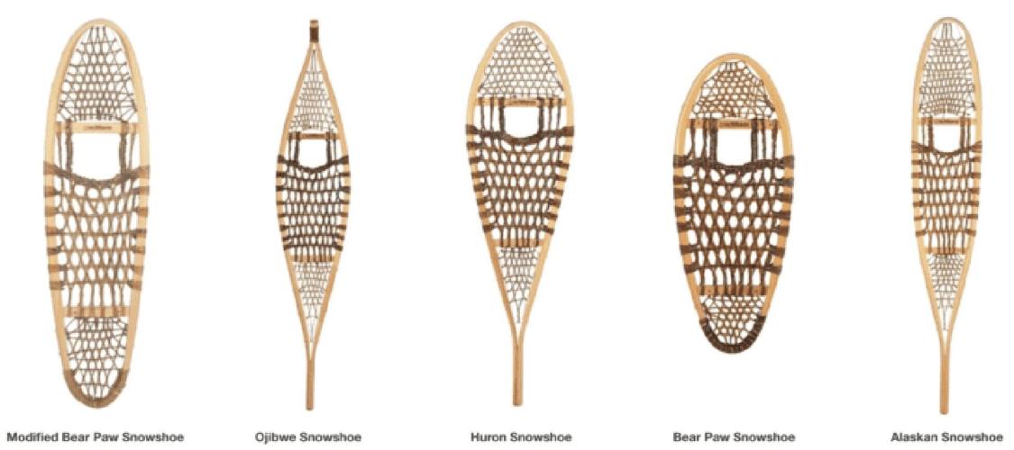 Winter is the best time for outdoor studies on snowshoes