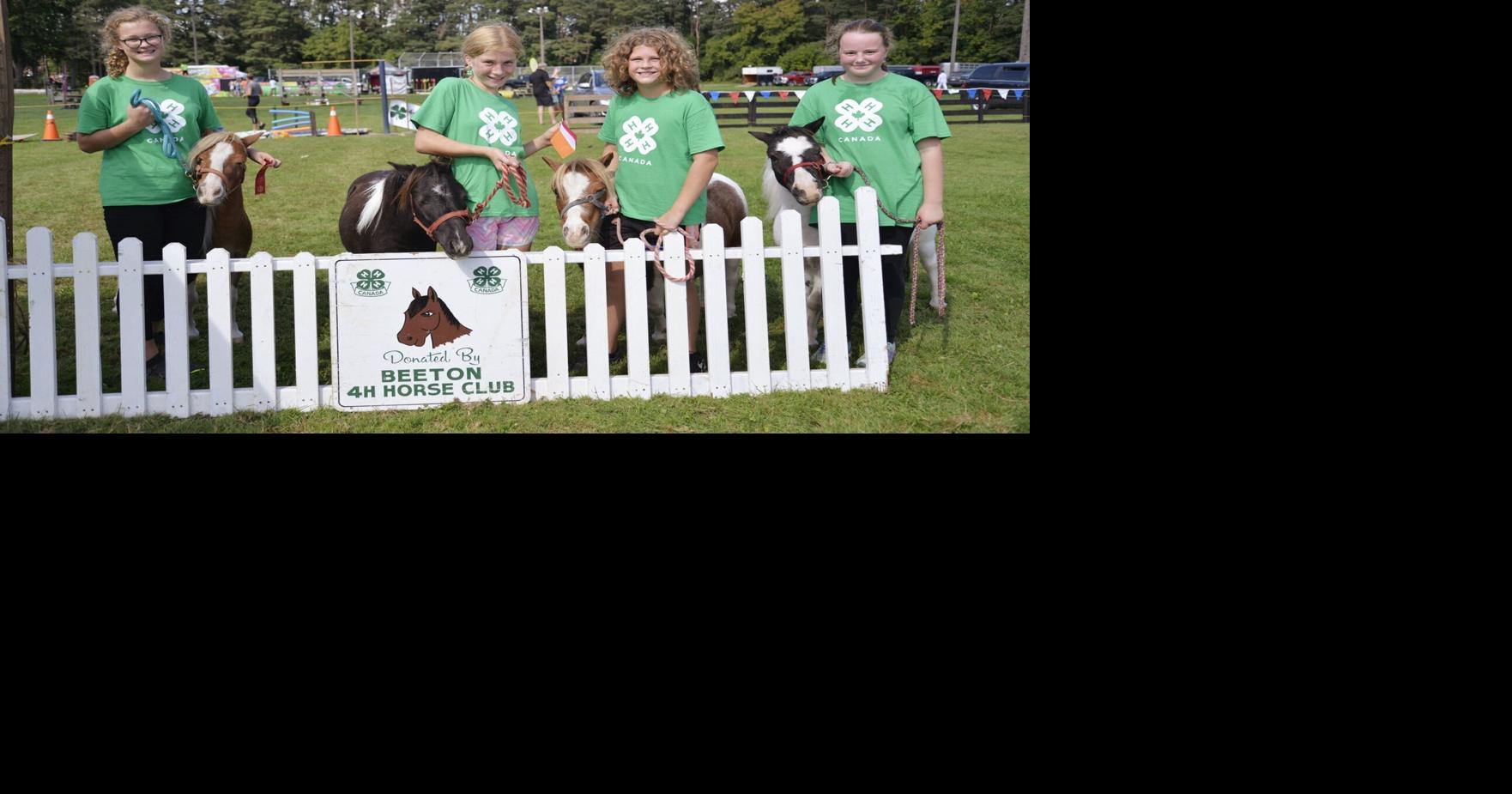 What to see and do at the 2019 Beeton Fall Fair