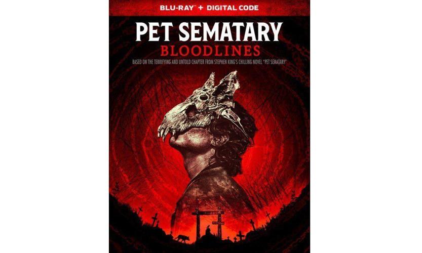 Star Trek, Sponge Bob and Pet Sematary on Disc!