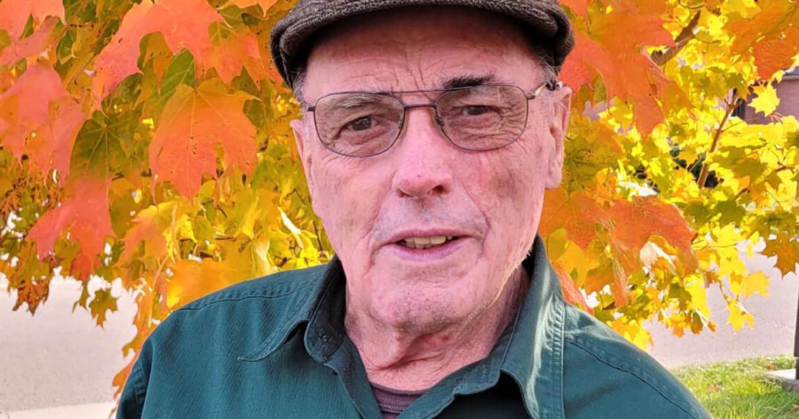 Butterflies wing their way on amazingly resilient wings