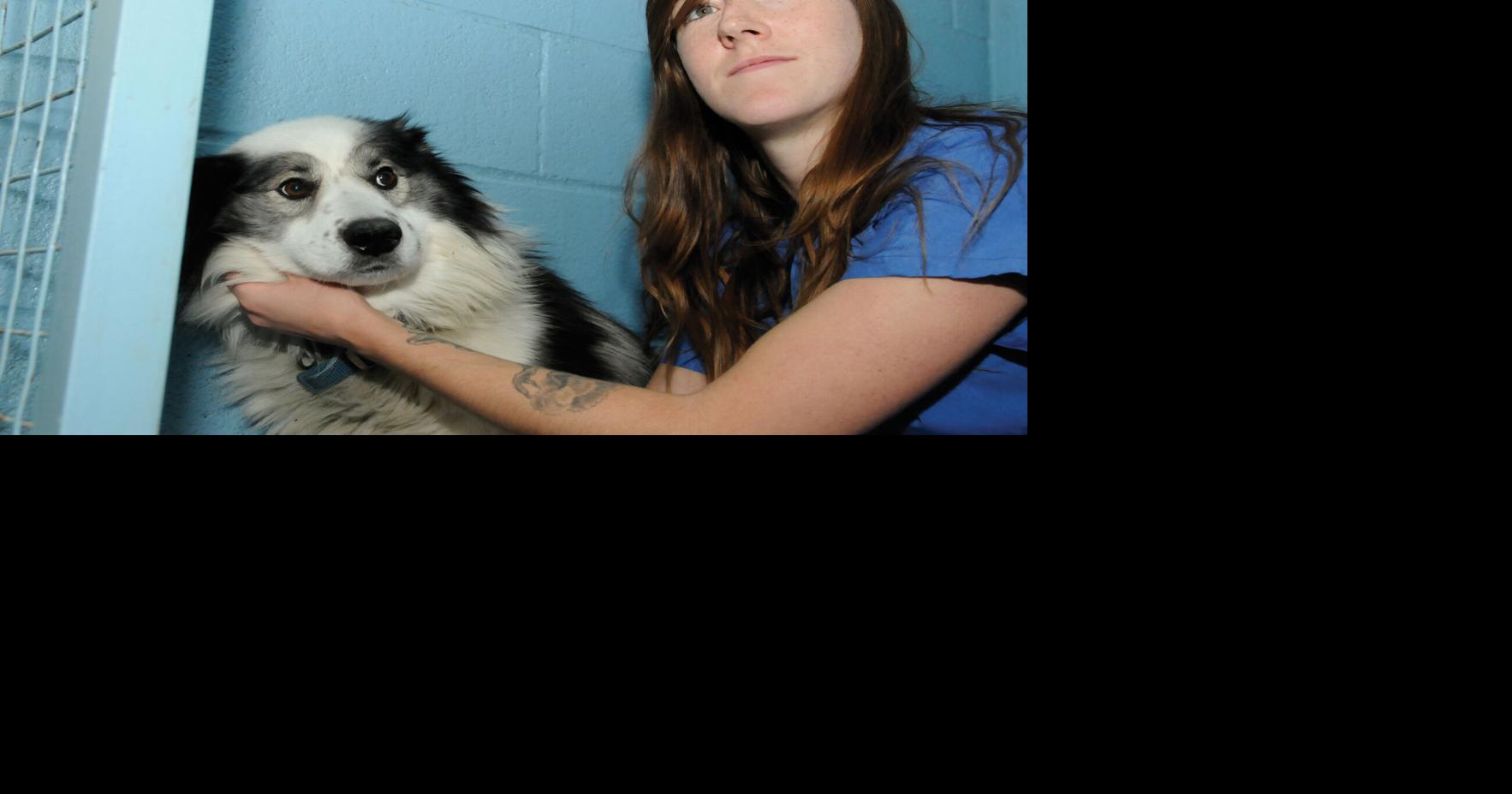 Donations needed for dog at Barrie OSPCA