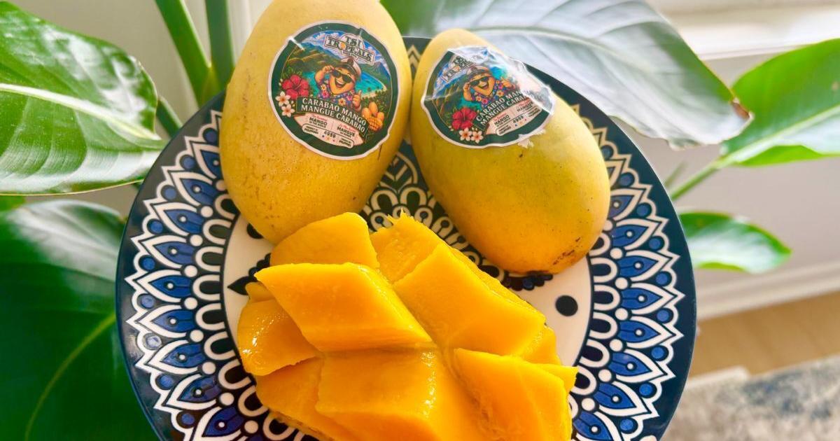 I tried the world’s sweetest mangoes now in Canada