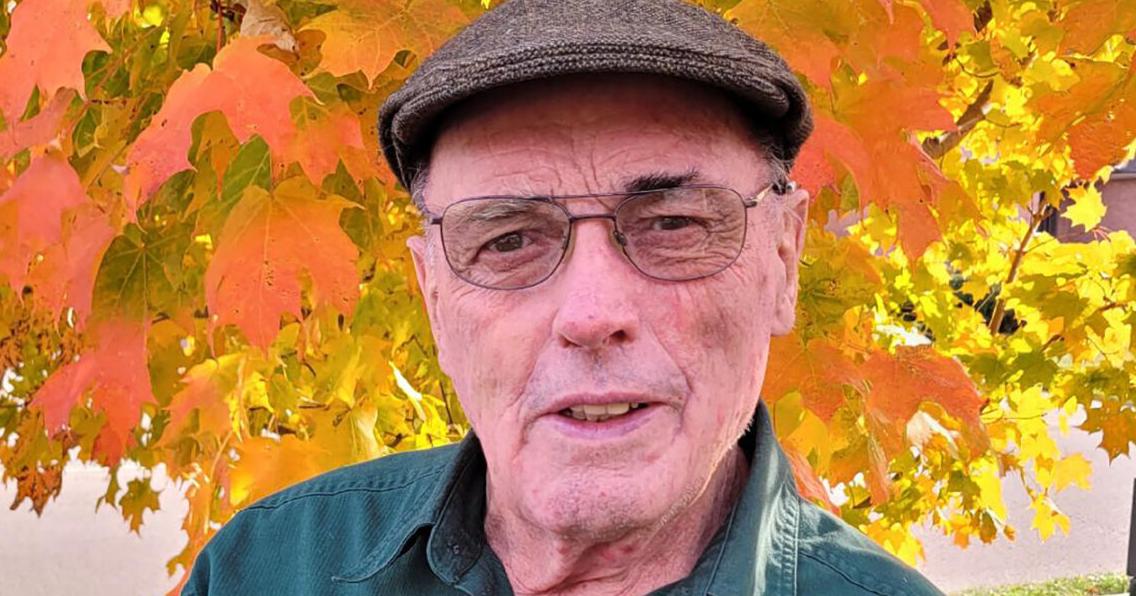 The mighty oak tree and its many environmental benefits