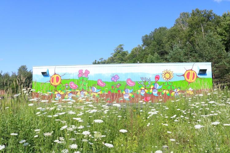 Mural by Indigenous artist Kyle Joedicke latest in Huntsville Good Food ...