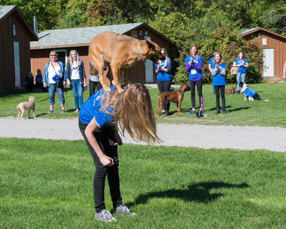 Midland OSPCA holds fundraising walk at Wye Marsh