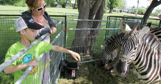 Rama celebrates culture