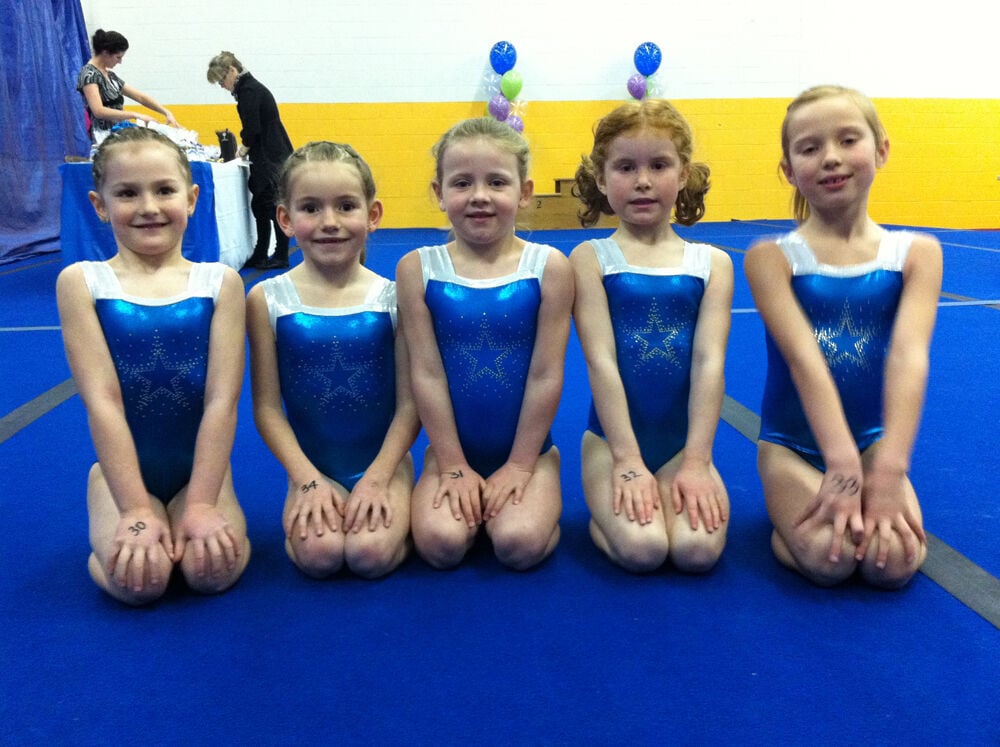 Young gymnasts shine