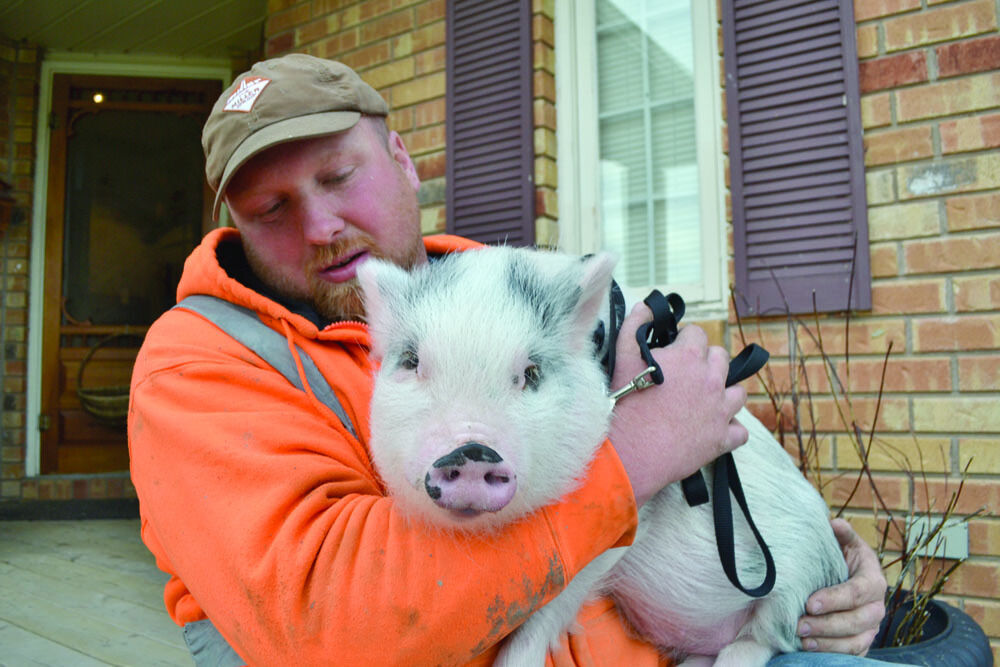 They huffed and they puffed..