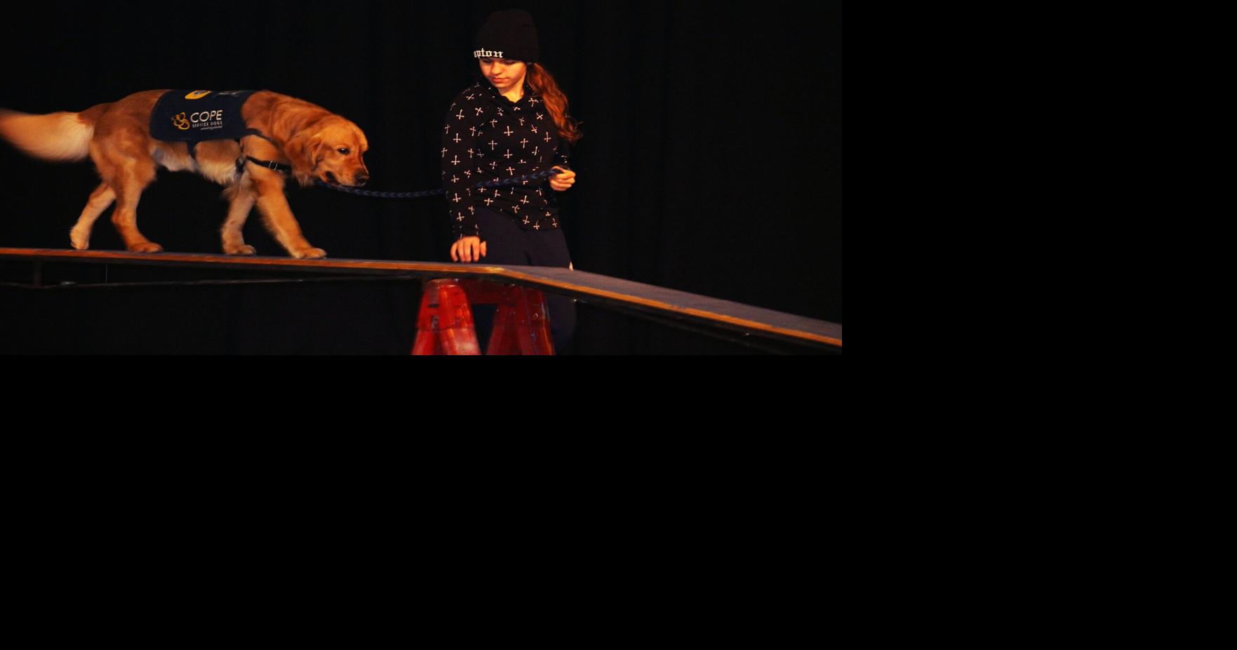 Telus YouTube playlist helping Barrie area’s COPE Service Dogs