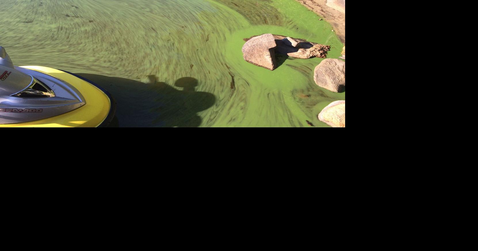 Blue-green algae confirmed in Severn Township