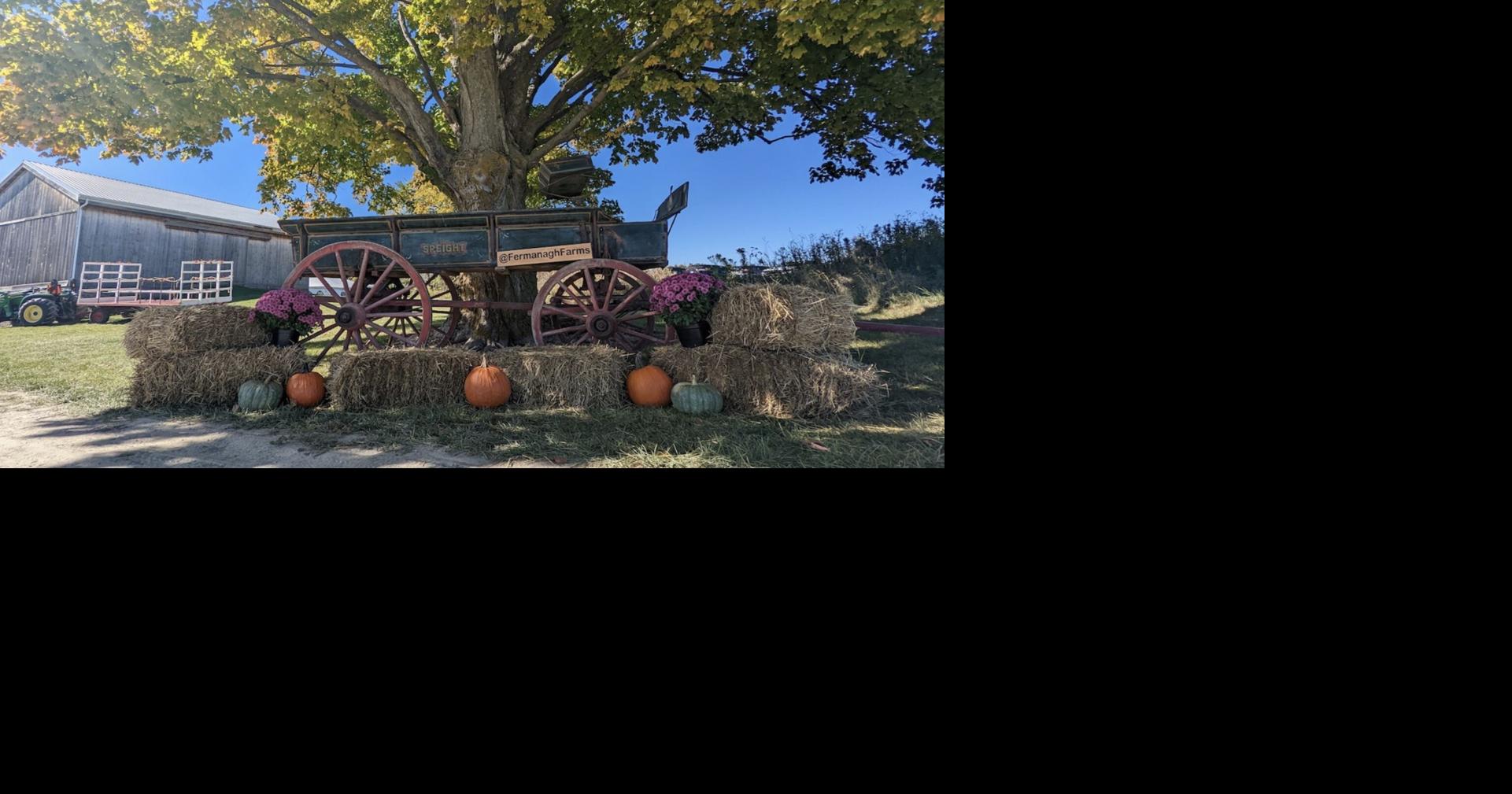 Fermanagh Farms hosting Fall Market Oct. 1