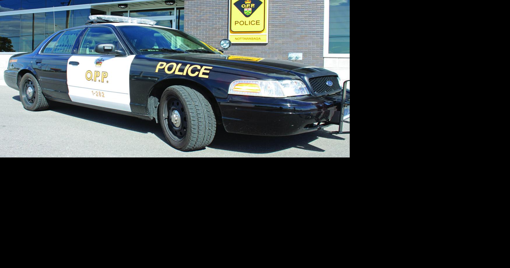 Fire destroys shed at Alliston high school