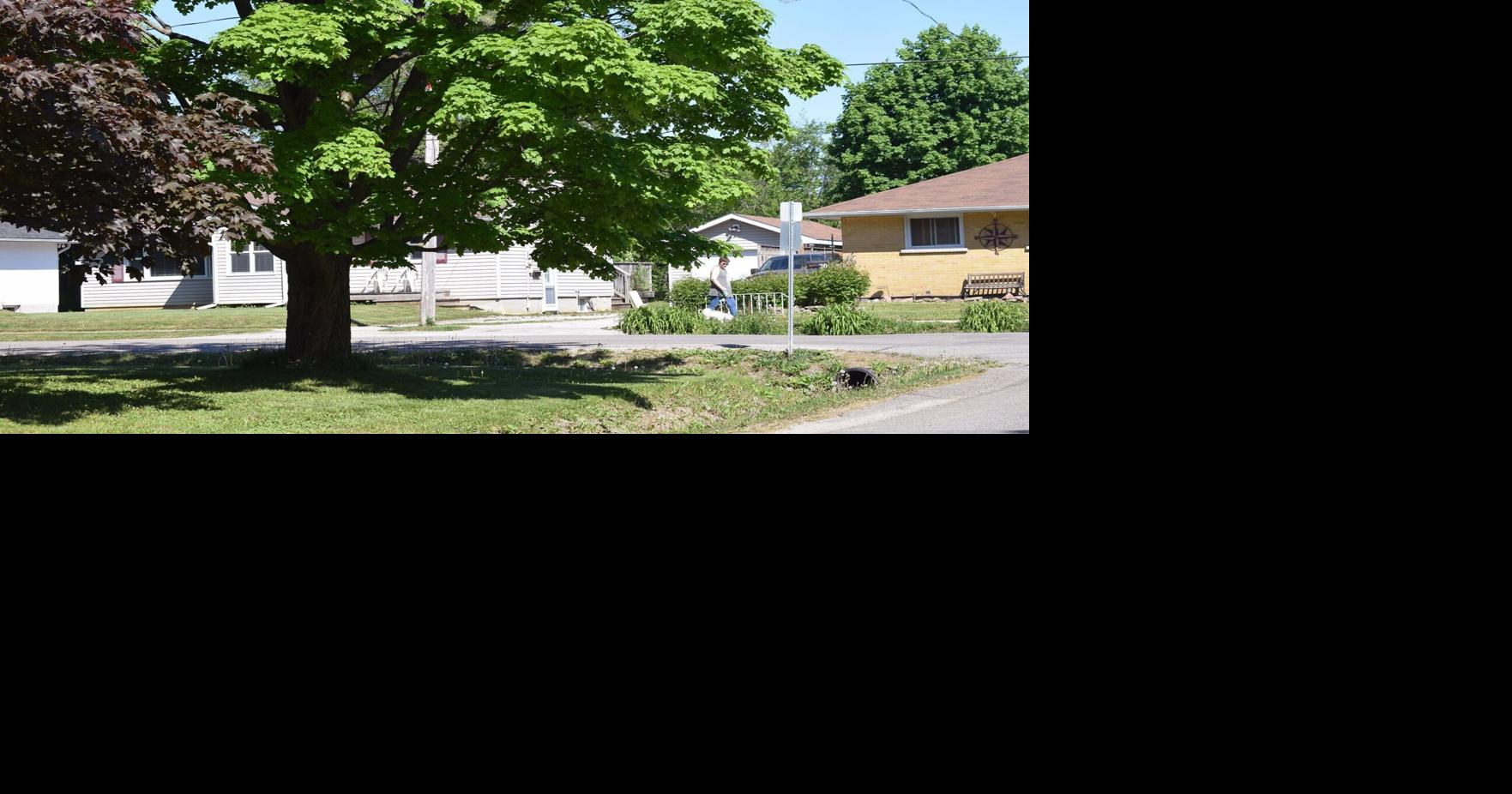 Backlash prompts reversal on Orillia's controversial tree bylaw proposal