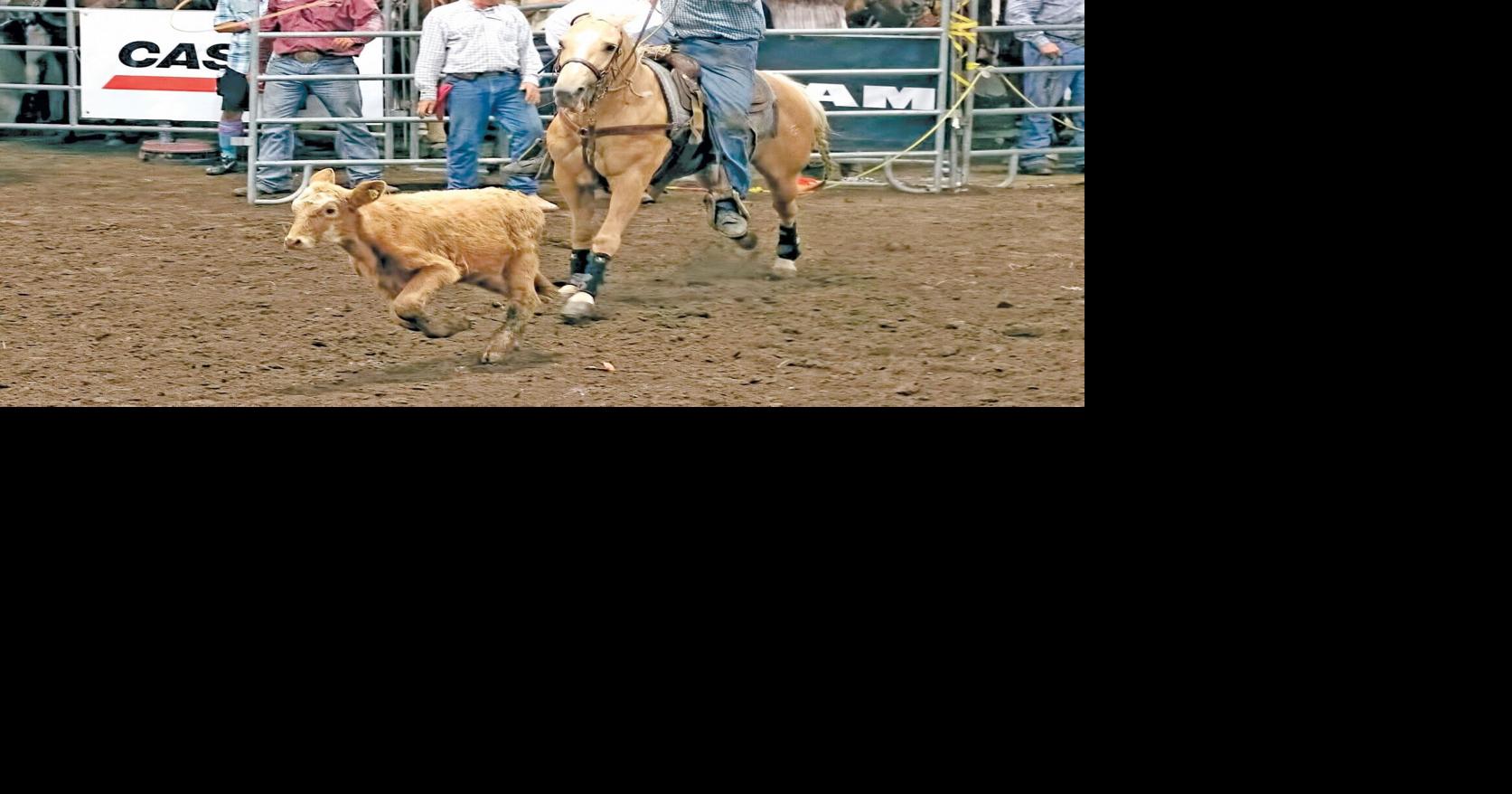 New Tecumseth Mayor won’t continue charity rodeo