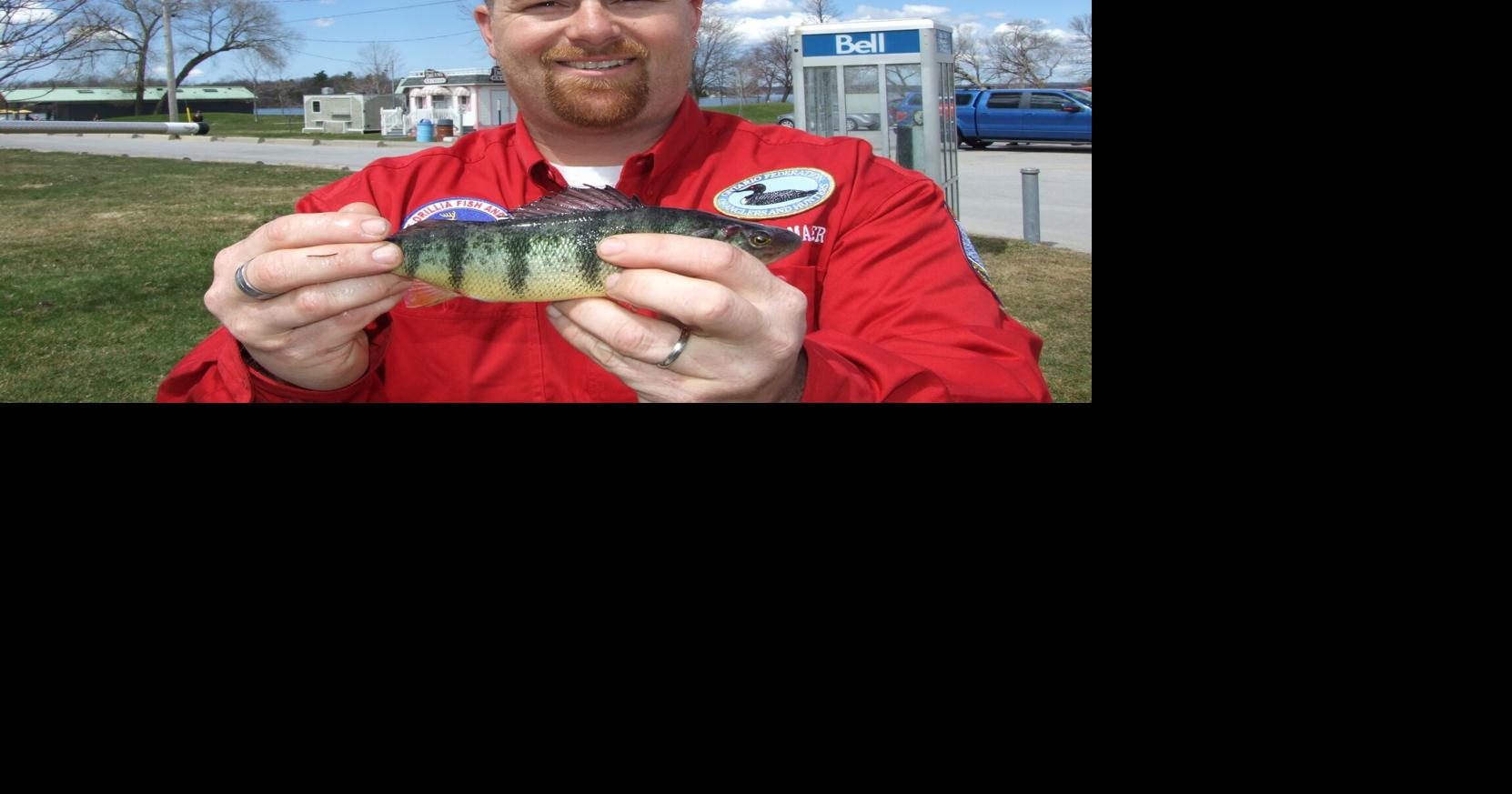 Orillia Perch Festival under way Saturday