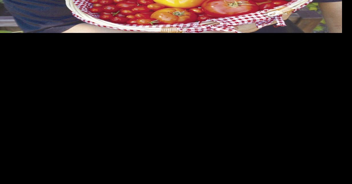 Urban Dish has its own garden