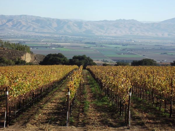 Salinas Valley — Steinbeck country — celebrates the author