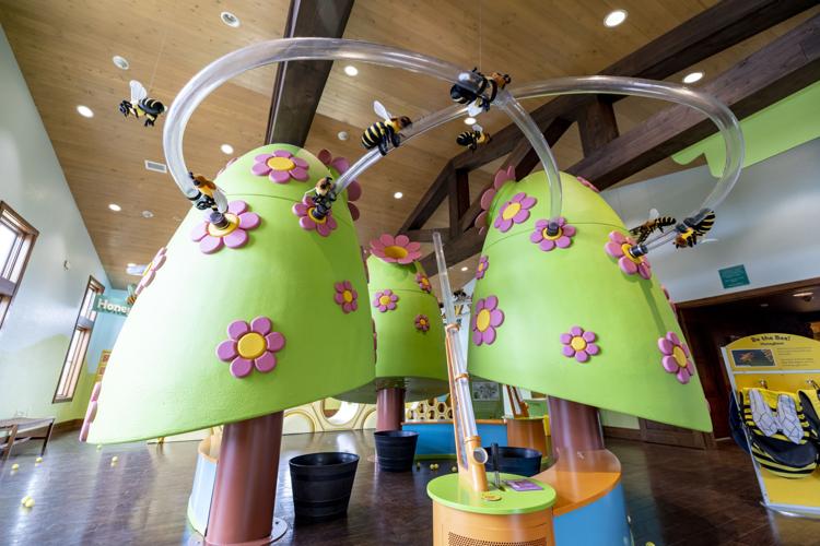 Dickinson County Nature Center's 'Pollinator Paradise' is popular with kids