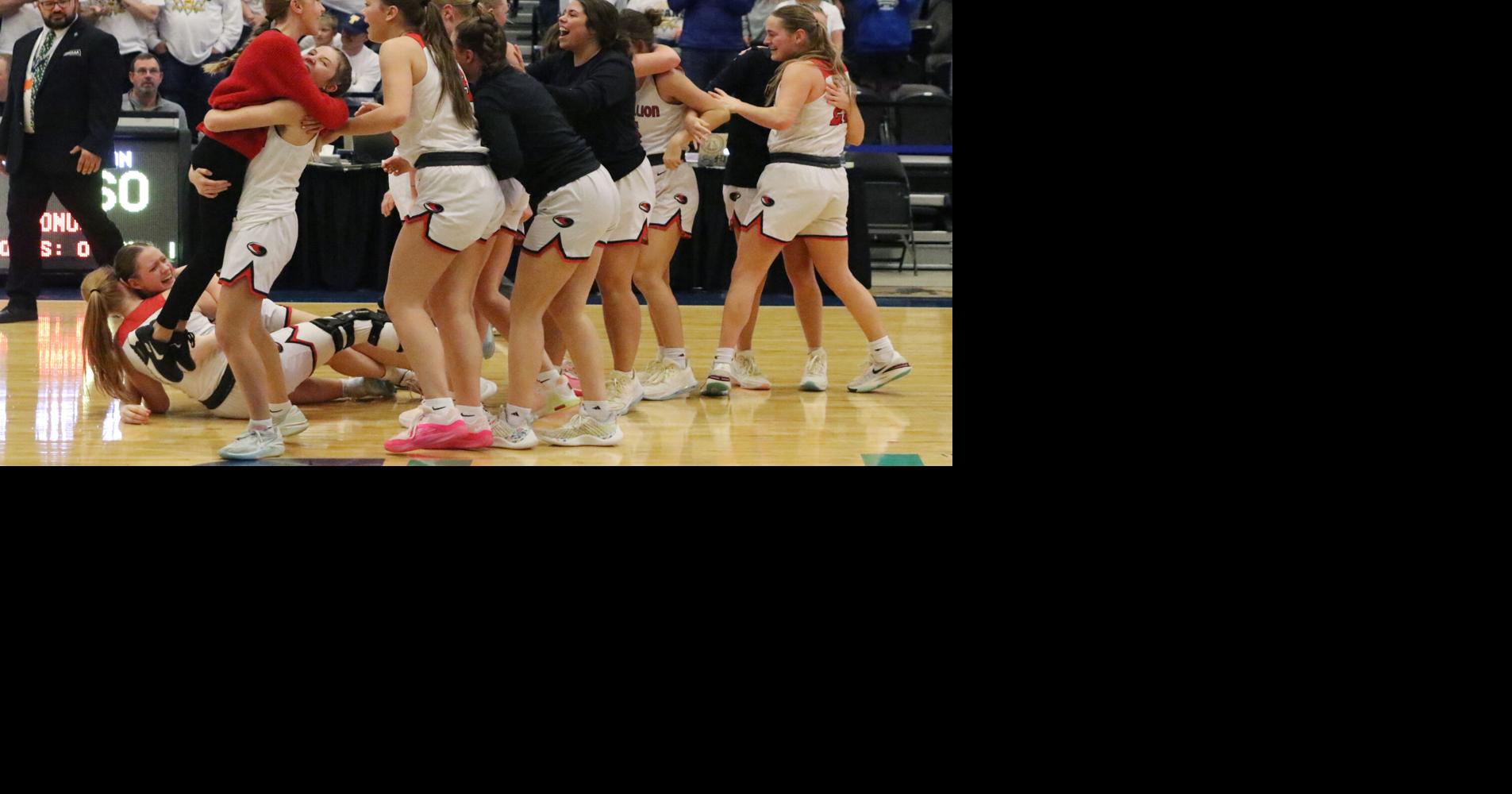 Photos: Vermilion girls beats Tea Area to win Class A state tournament