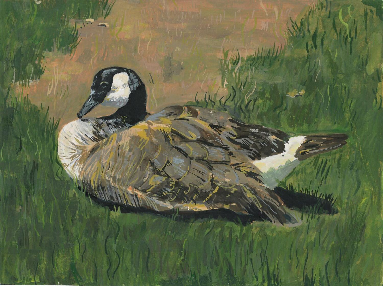 Sioux Center artist wins Iowa Junior Duck Stamp Contest