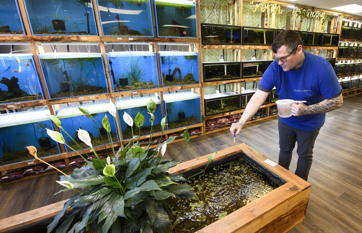 What to know about Small Business Saturday in Sioux City