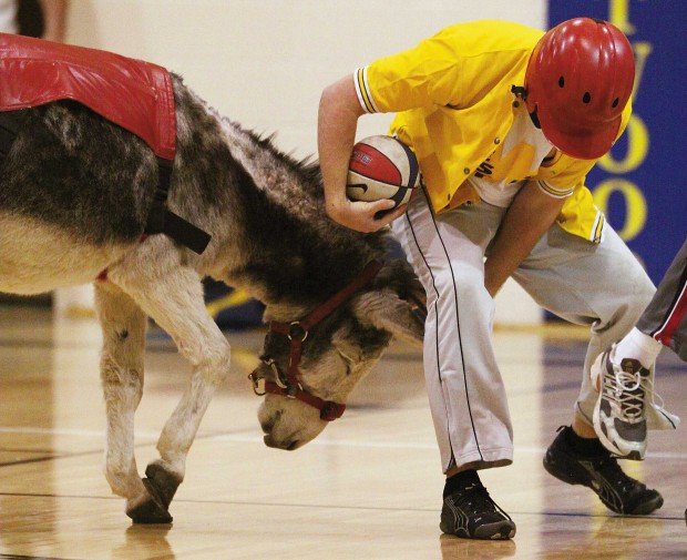 Donkey Basketball