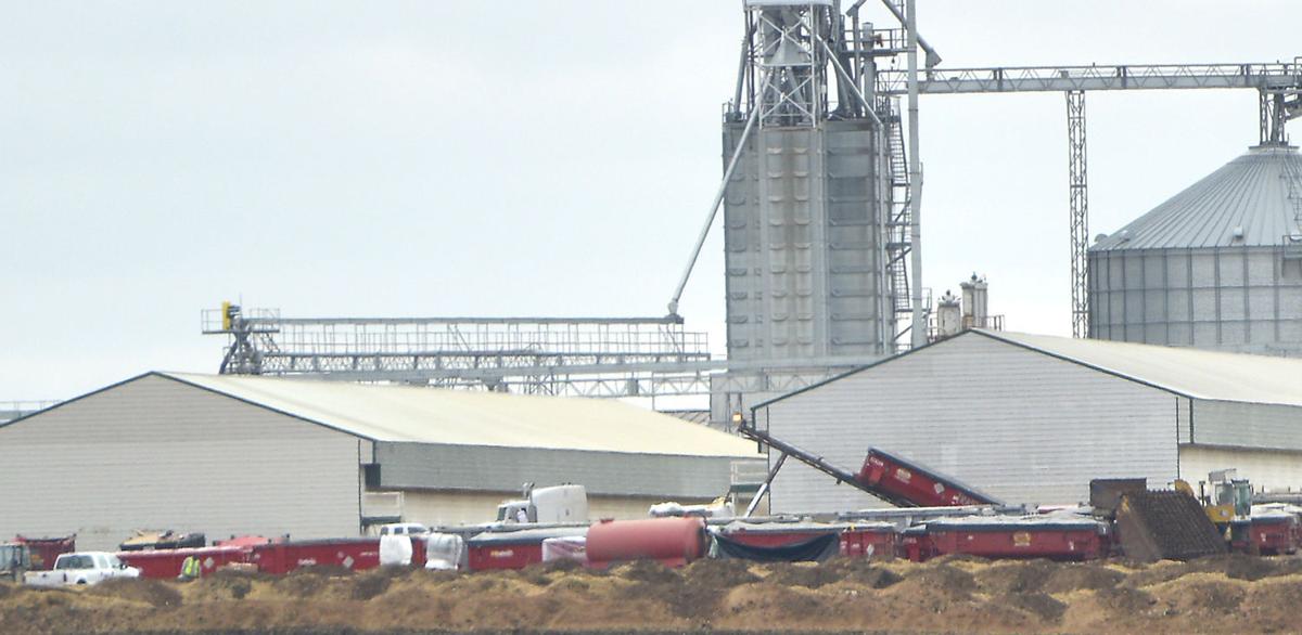 Iowa farms devastated, impacts unknown as bird flu spreads