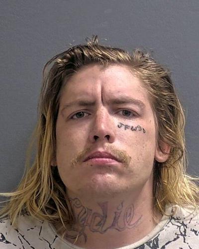 Sioux City man pleads not guilty of throwing dog out window