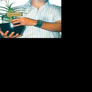 Singapore Tourism Board names orchid after Ricky Martin