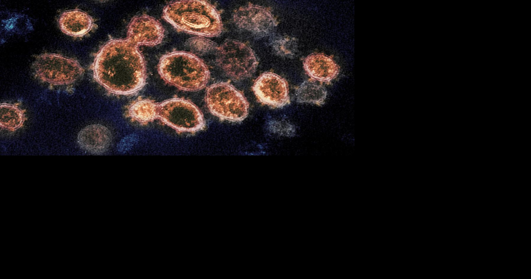 COVID-19 brief: The biggest virus stories from the last 24 hours in ...