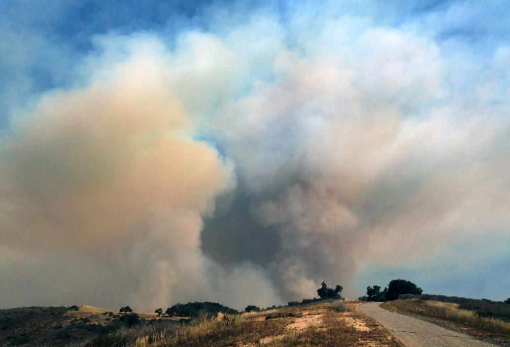 Explaining the hot, dry Diablo Wind that scorched wine country