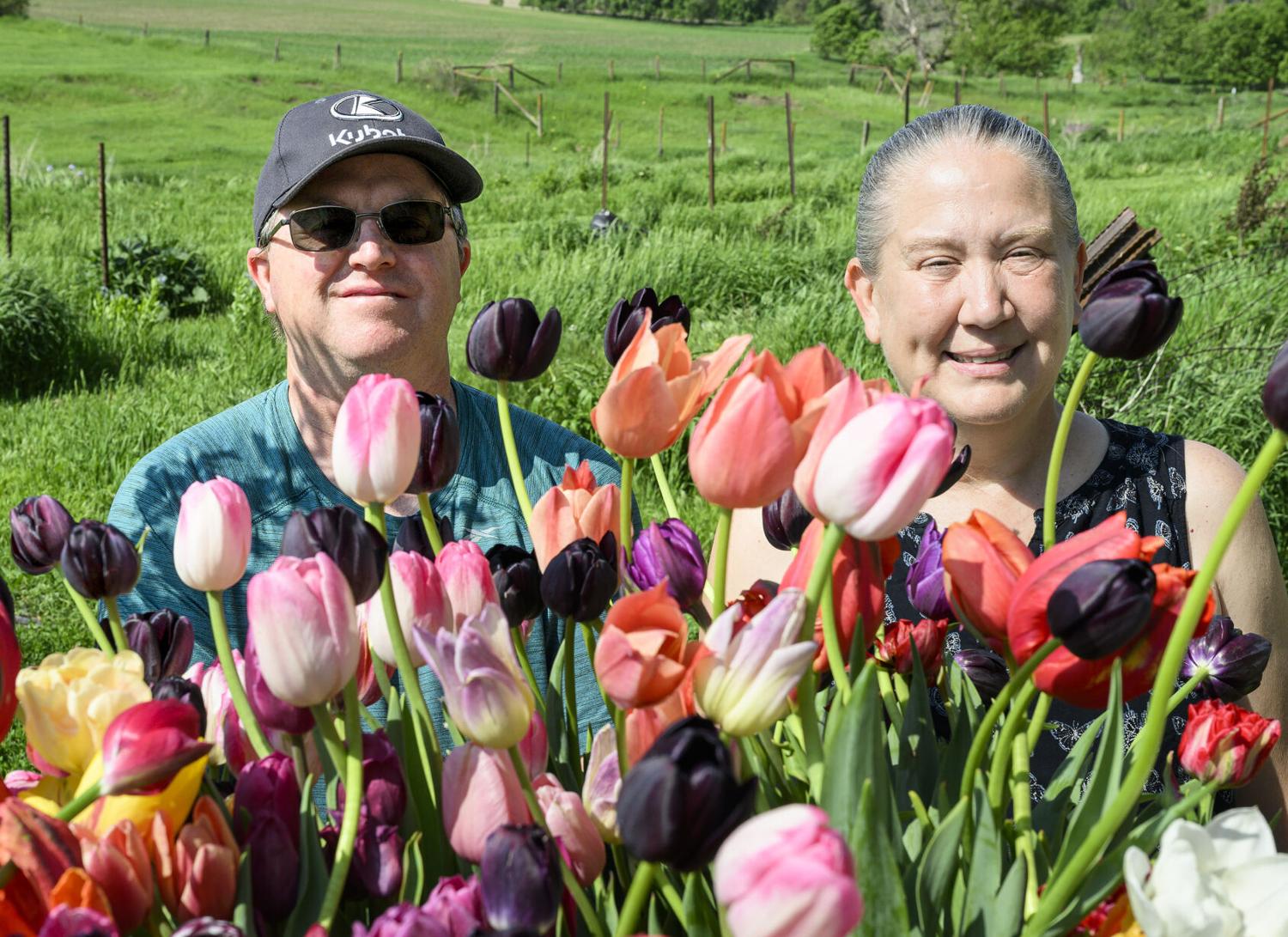Siouxland Floral Collective organizer hopes group will benefit local ...