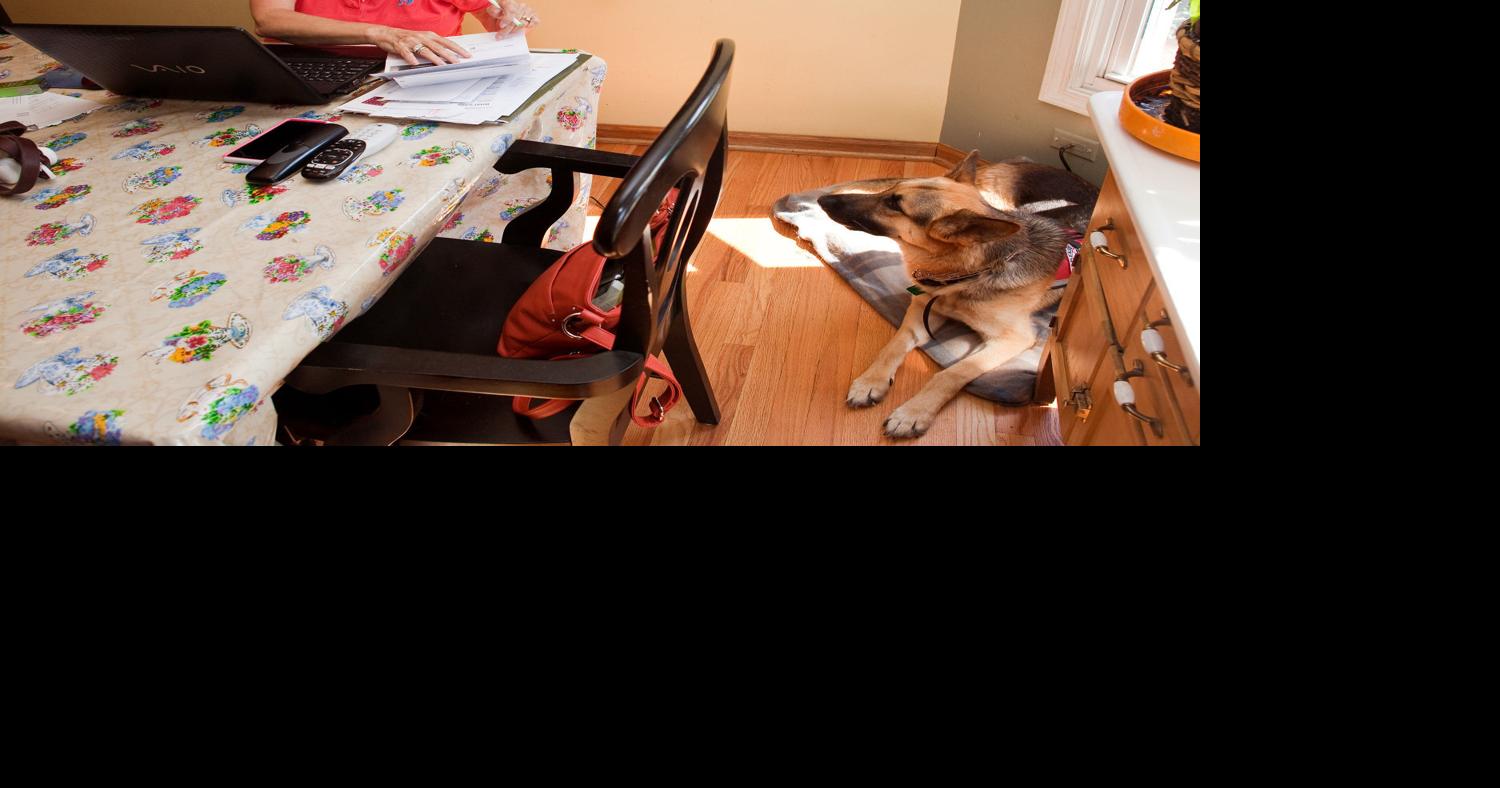 Service dog, owner with MS depend on each other