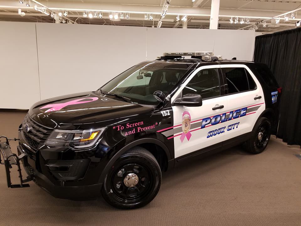 Police patrol car, decorated in pink, helps recognize cancer survivors