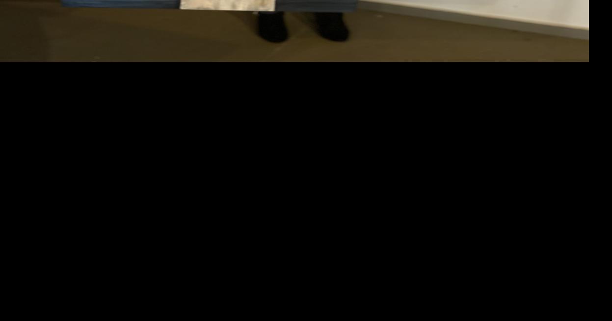 Robin Blakely Vaughan pulls inspiration from rural living in her paintings