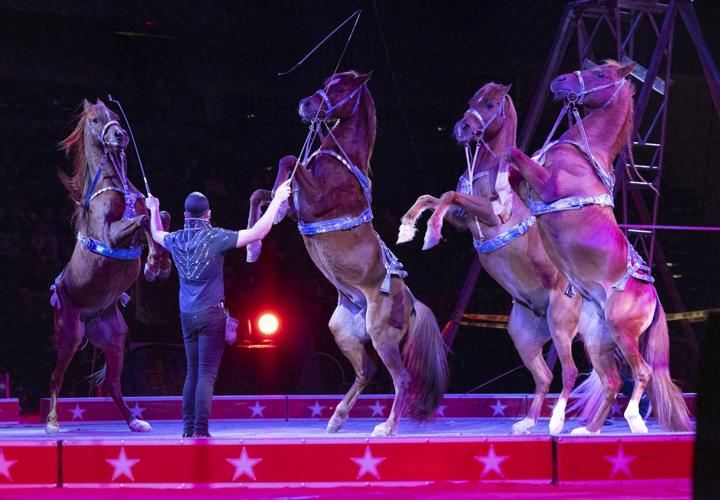 Abu Bekr Shrine Circus returns for the 71st year