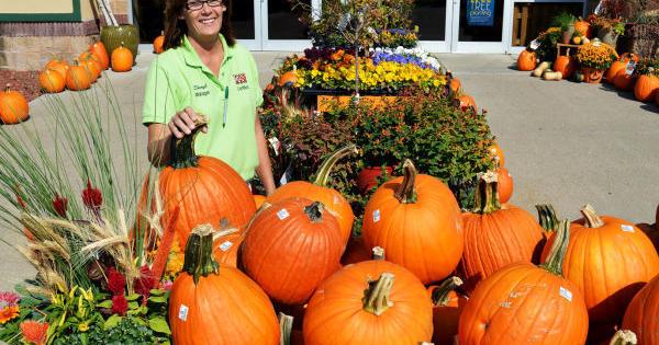 Siouxland's fall guide to festivals, pumpkin patches, corn mazes and more