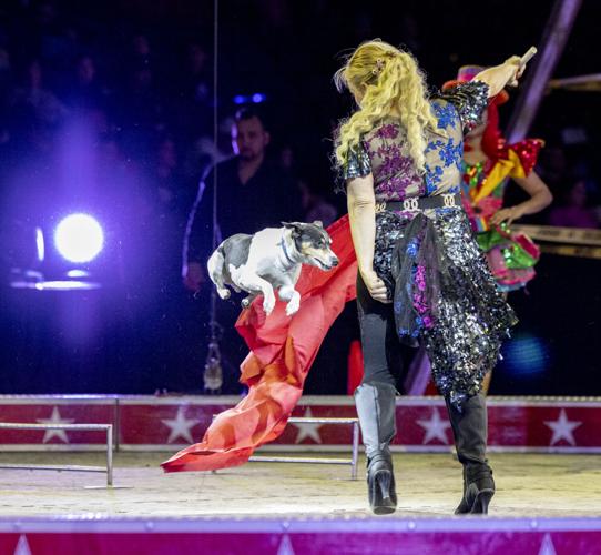 Abu Bekr Shrine Circus returns for the 71st year
