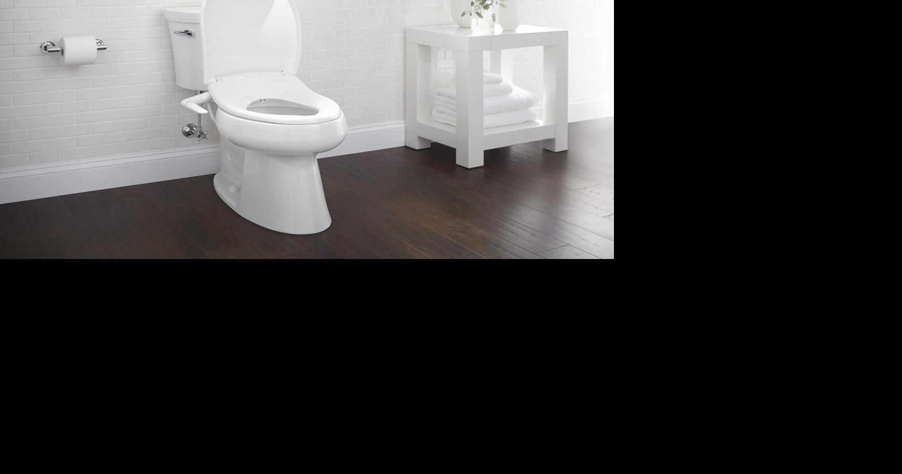 Plumber: Info needed on basic bidet toilet seat